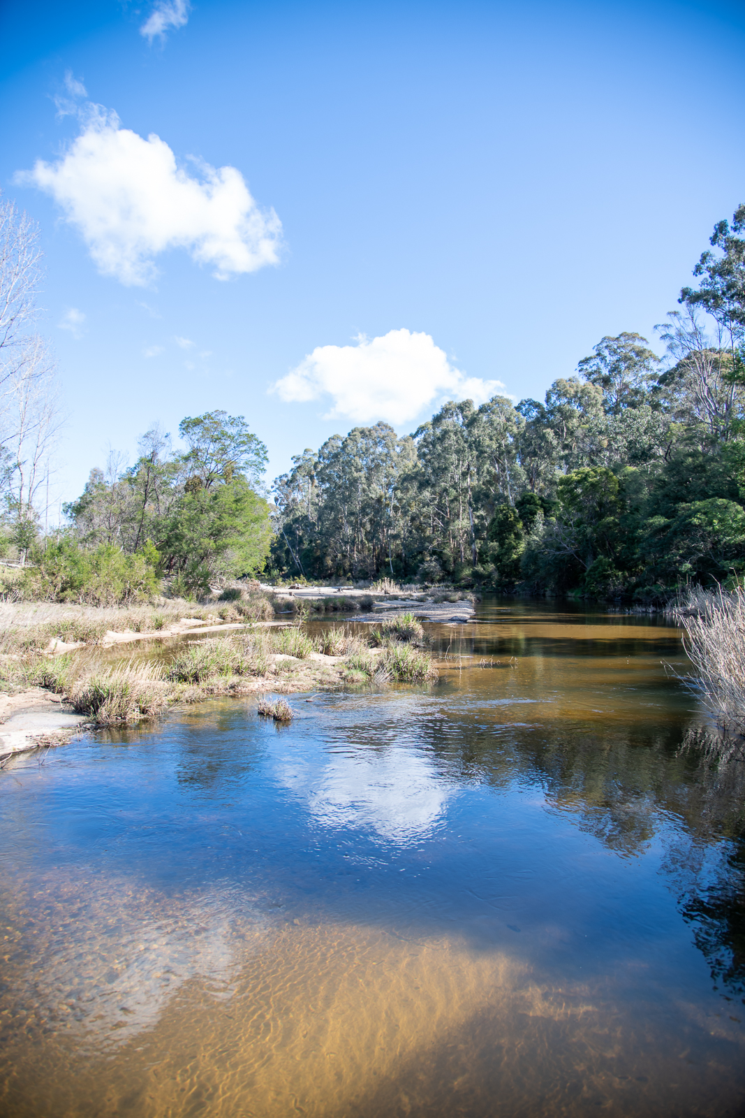 Cann River - Coastal Wilderness - Visit East Gippsland - Visit East ...