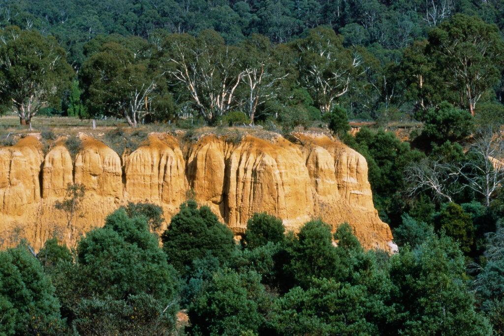Omeo & Benambra - Alpine High Country - Visit East Gippsland - Visit ...