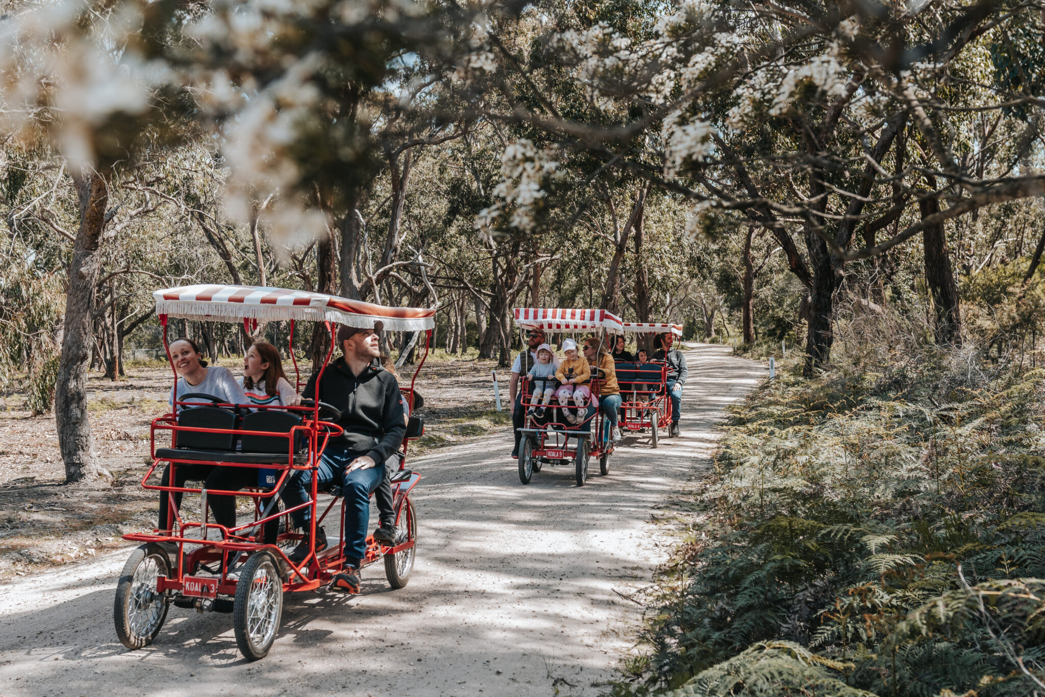 Cann River - Coastal Wilderness - Visit East Gippsland - Visit East ...
