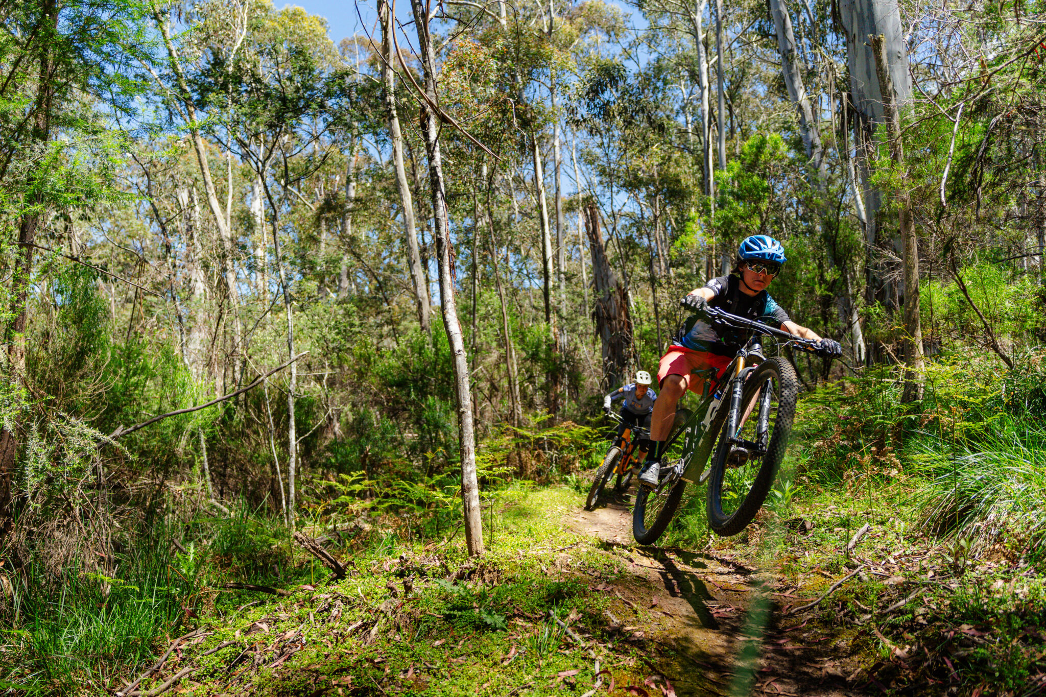 Bemm River - Coastal Wilderness - Visit East Gippsland - Visit East ...